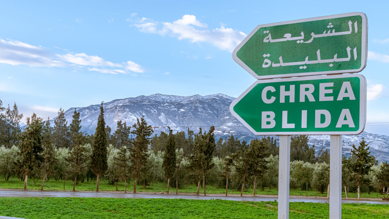 Coût de la vie et Prix à Blida en 2025, pour vivre ou voyager