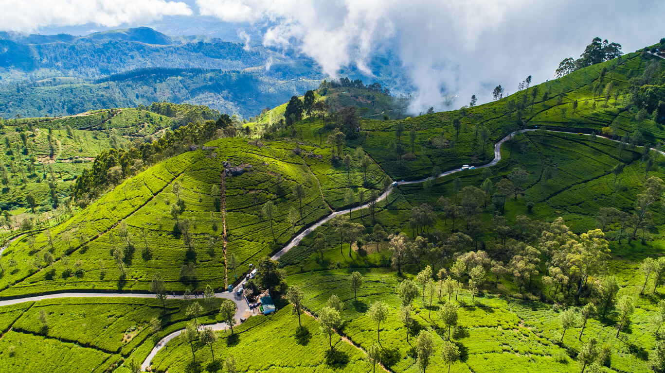 Coût de la vie et Prix au Sri Lanka en 2025, pour vivre ou voyager Coût de la vie et Prix au Sri Lanka en 2025, pour vivre ou voyager